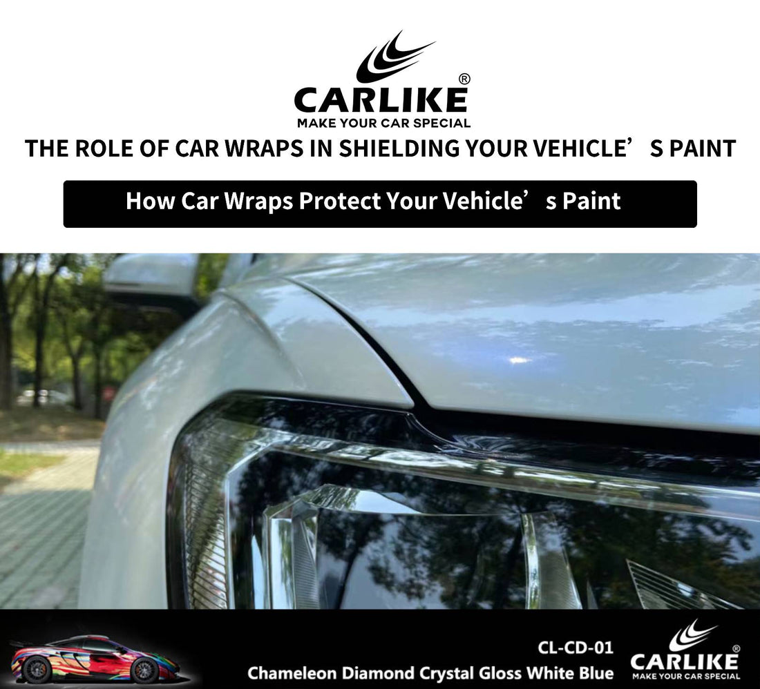How Car Wraps Protect Your Car from Environmental Damage